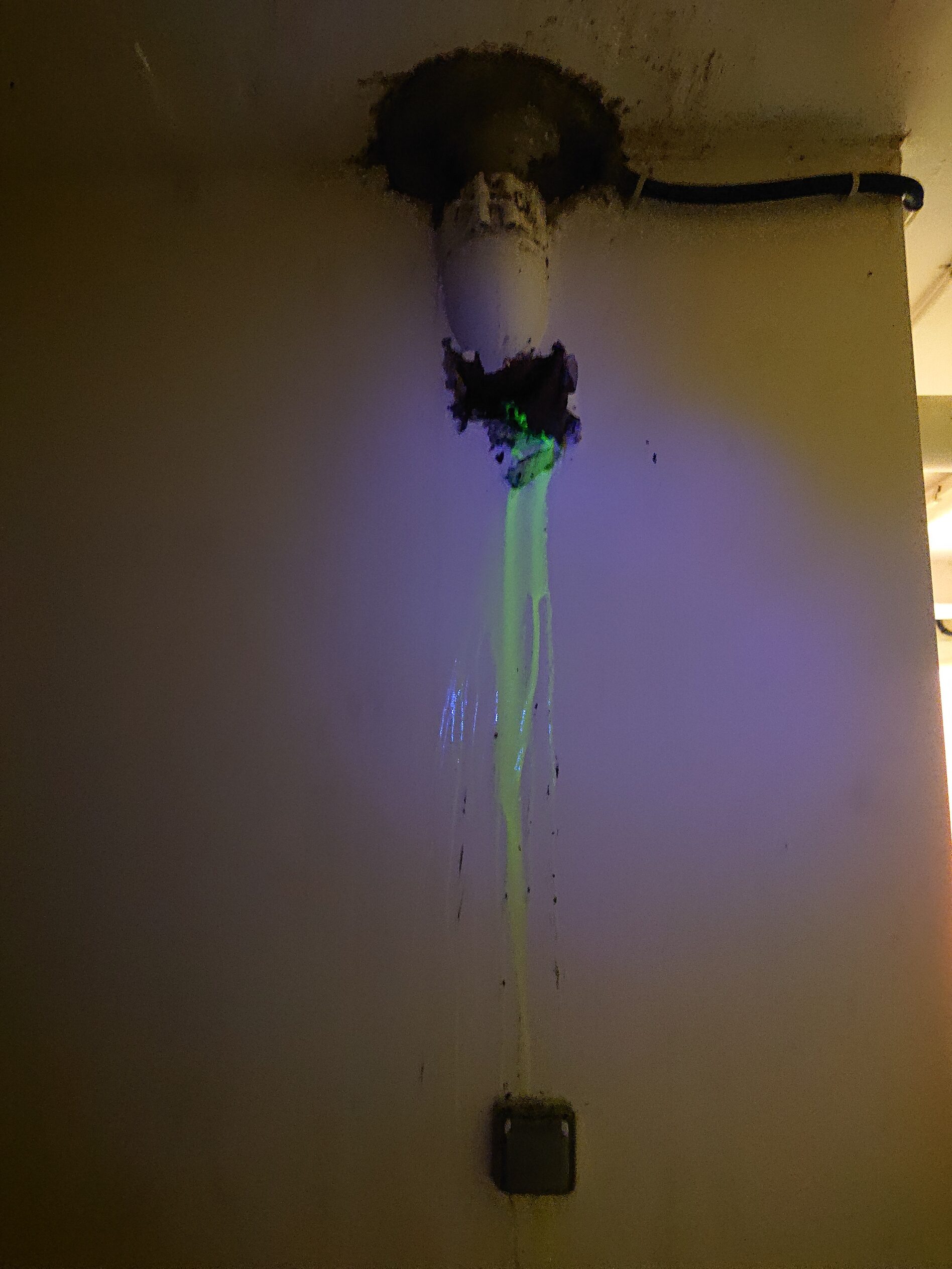 Recherche infiltration eau Lyon | Test au colorant – Sedimo
